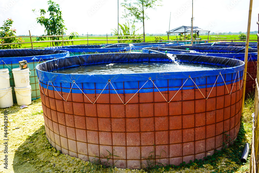 Raising and cultivating fish by using fish ponds made of round or ...