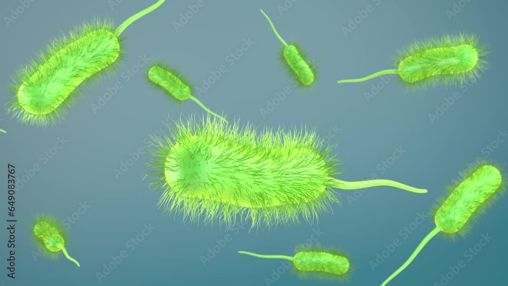 bacteria bacillus 3d render animation loop. prokaryote microorganism ...