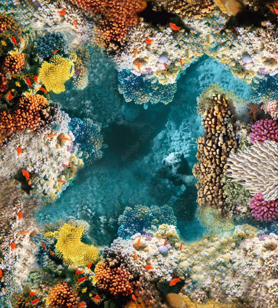 underwater world corals top view for printing 3D flooring photo ...