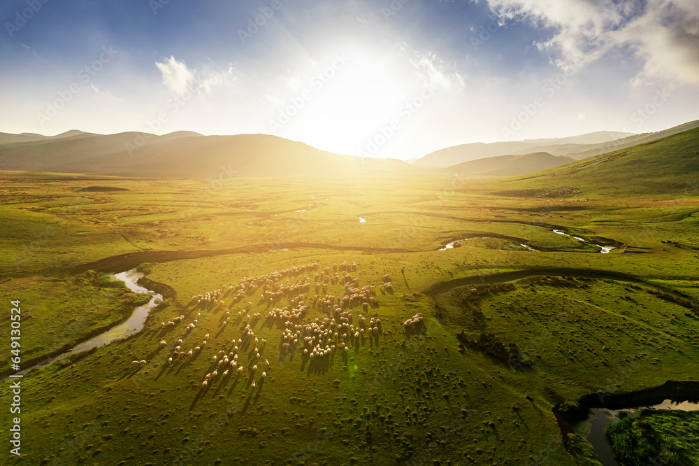Ordu Persembe Plateau, Persembe Plateau is a popular plateau famous for ...