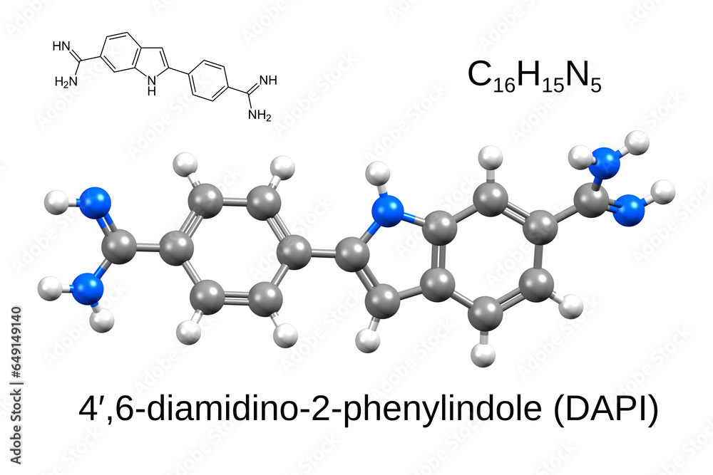 Chemical Formula Structural Formula And 3d Ball And Stick Model Of Dapi A Fluorescent Stain