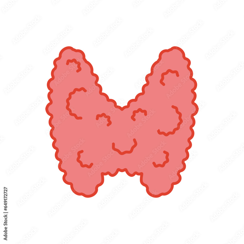 Thyroid gland lobes icon. Thyroid hormones function test. Endocrine ...