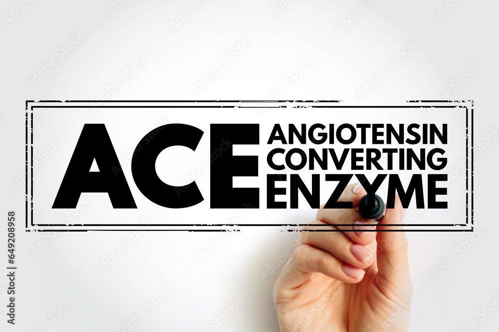 ACE Angiotensin-Converting Enzyme - central component of the renin ...