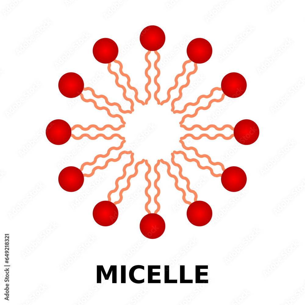 Micelle structure with hydrophilic head and hydrophobic tails ...
