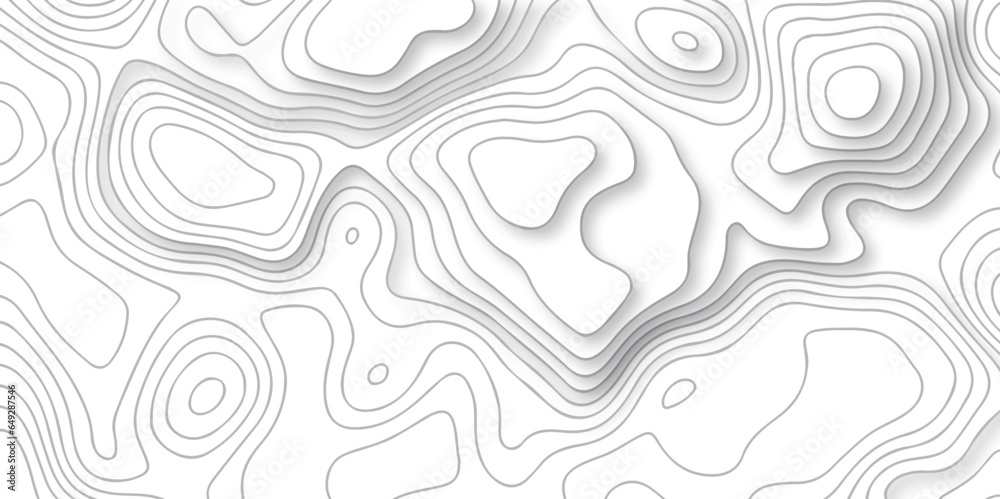 Topographic map background geographic line map with elevation ...