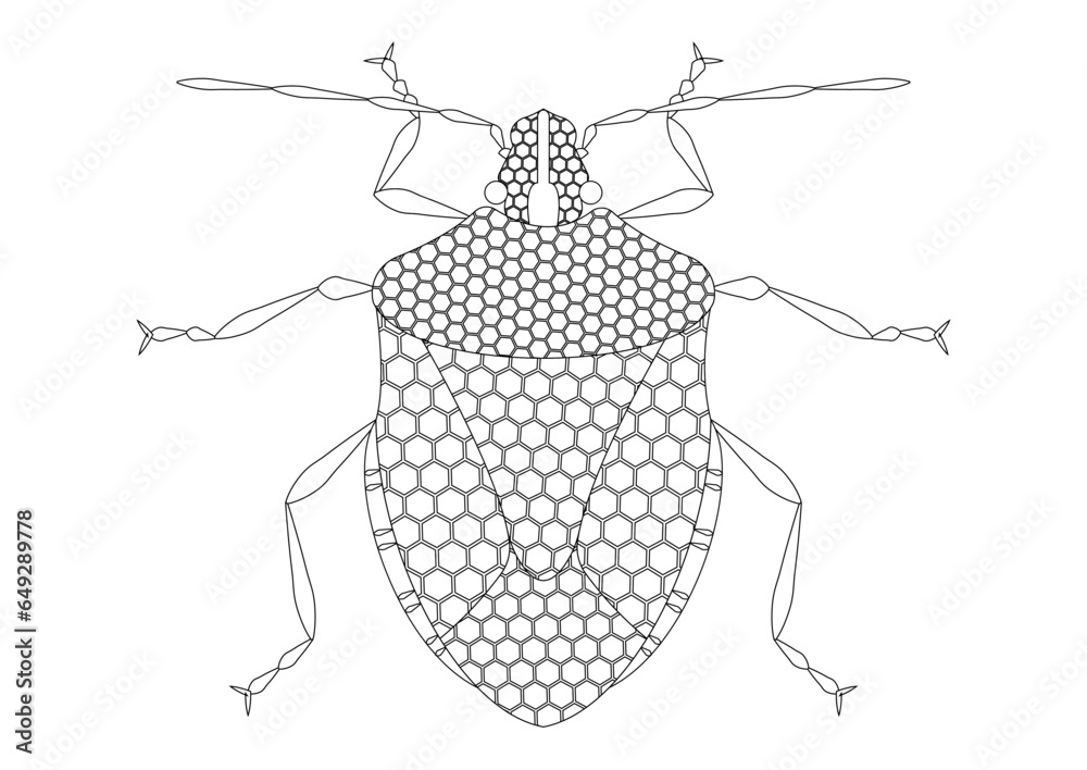 Black And White Stink Bug Clipart Vector Isolated On White Background Coloring Page Of A Stink