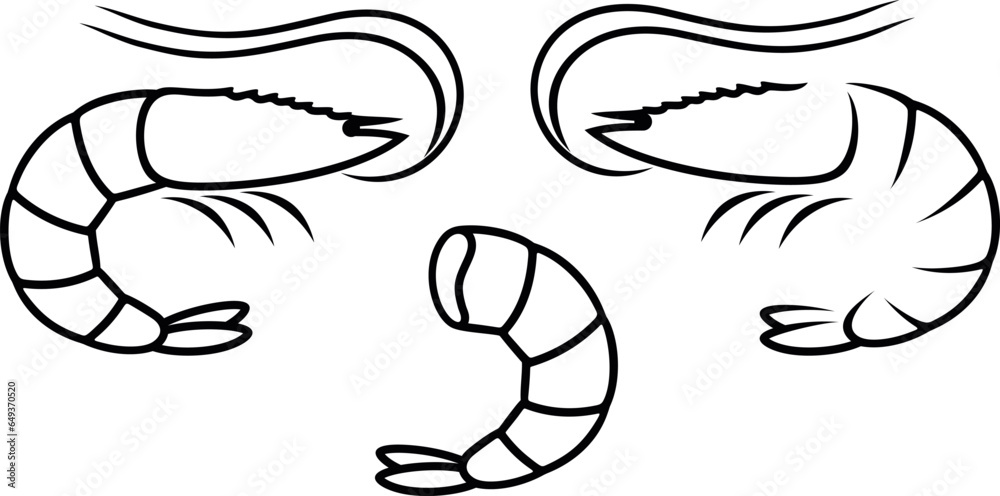 Shrimp outline. Isolated shrimp on white background. Prawns Stock ...