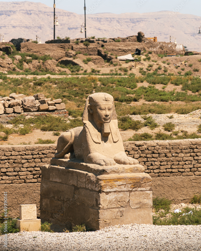 Sphinx at Luxor Temple at Sunset, a large complex of Ancient Egyptian ...