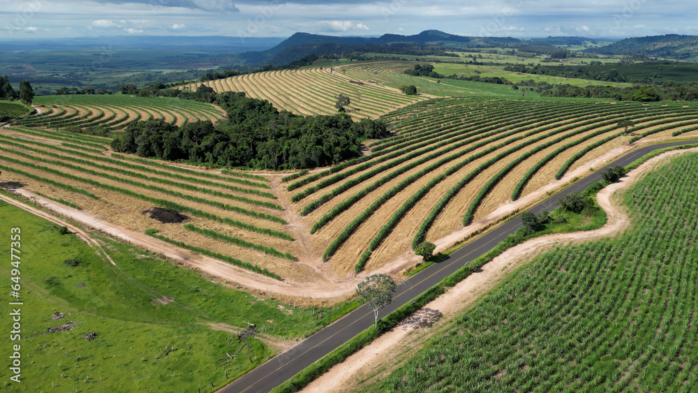 Foto de Cultivation Field At Country Scene In Rural Landscape ...