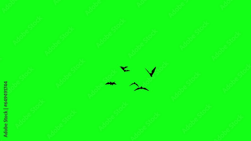 Halloween Bats Flying on Green Screen Background 4K Animation Stock ...