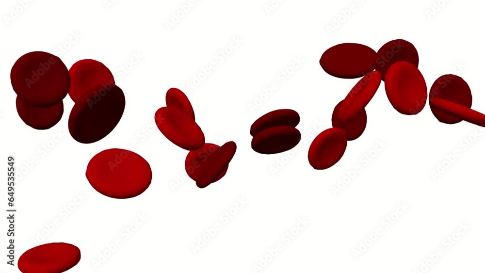 Red blood cells flow inside an artery, vein. Healthy arterial cross ...