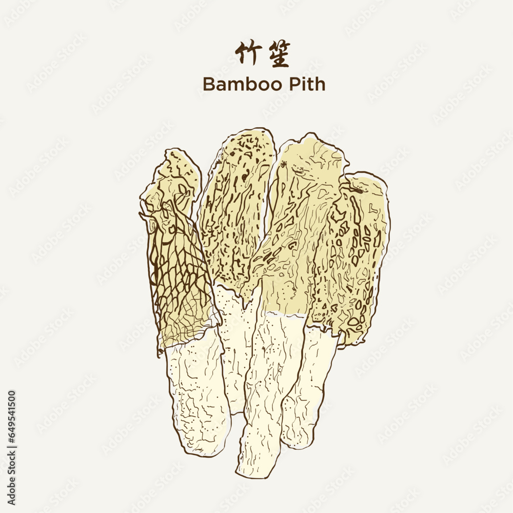 Hand drawn Bamboo Pith 竹笙 (Phallus indusiatus, bamboo fungus). Hand ... Hand drawn Bamboo Pith 竹笙 (Phallus indusiatus, bamboo fungus). Hand ...