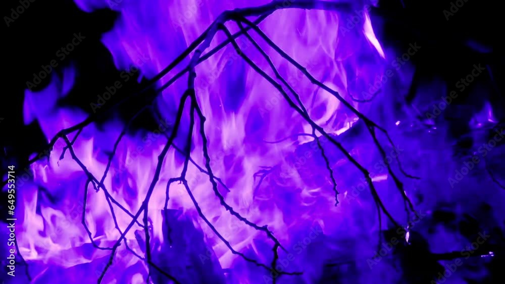 Deliberate blurring and color manipulation (vivid violet blue hue): a ...