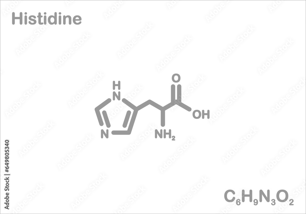 Histidine. Simplified structural formula. Stock Vector | Adobe Stock