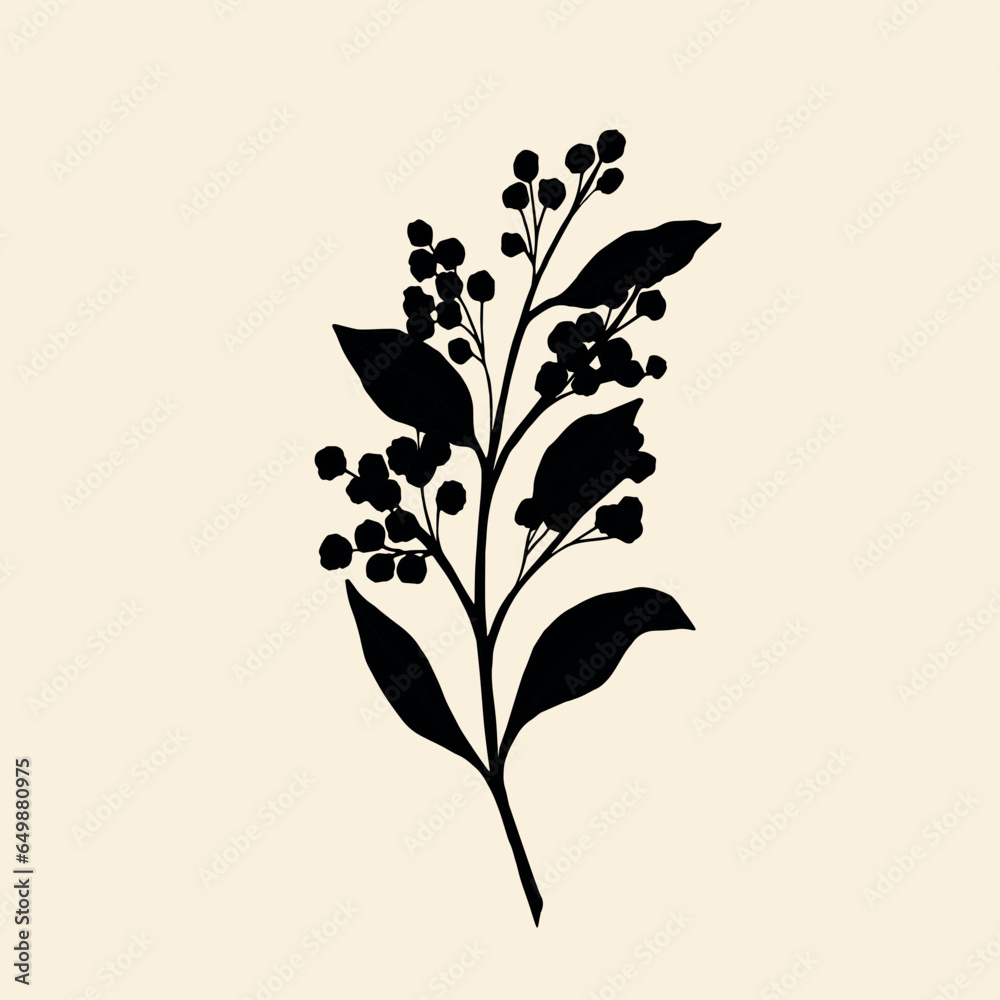 Flat vector wattle illustration. Sketch acacia Stock Vector | Adobe Stock