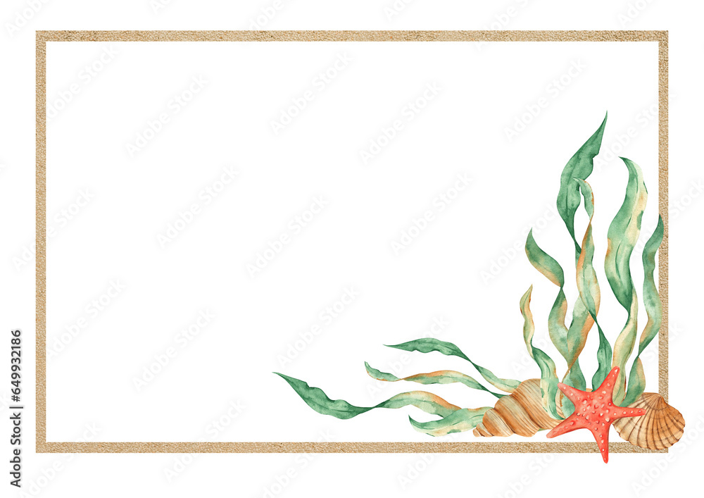 Marine horizontal frame, sand texture with seaweeds, seashells, red ...