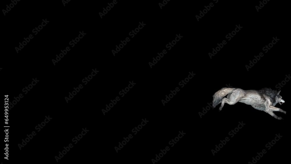 Vidéo Stock 3D wild wolf entering the left side and out on the right ...