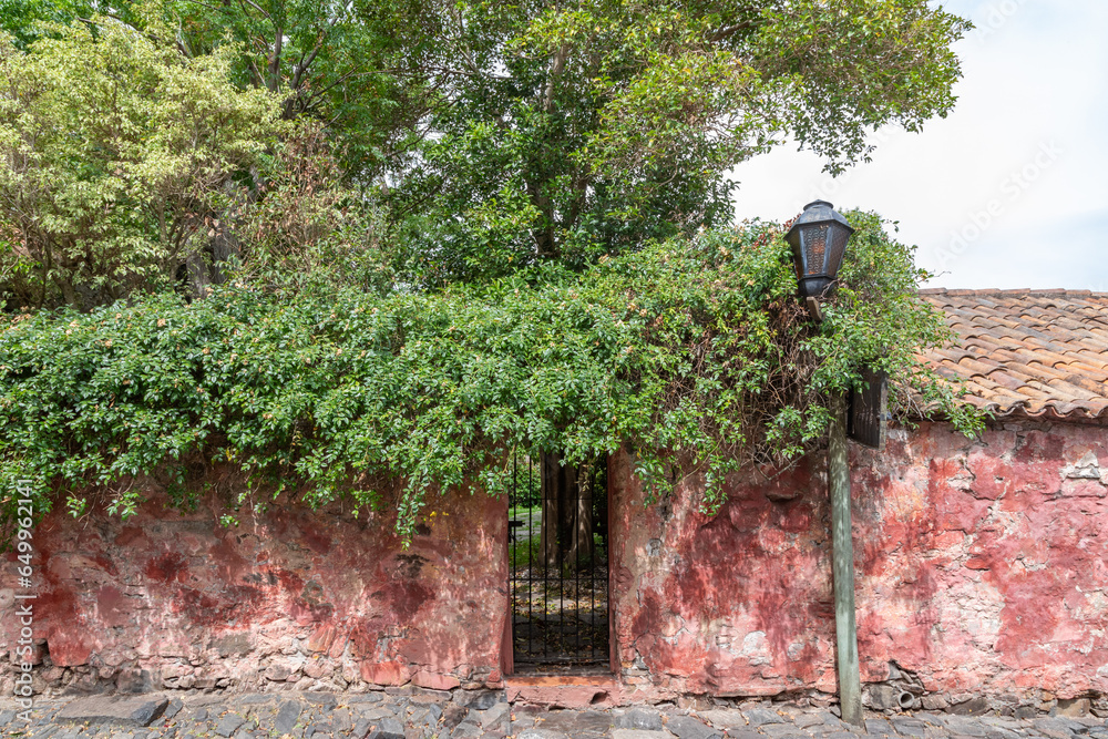 Vine Covered Ancient Red Adobe House in Colonia del Sacramento, Urugay ...