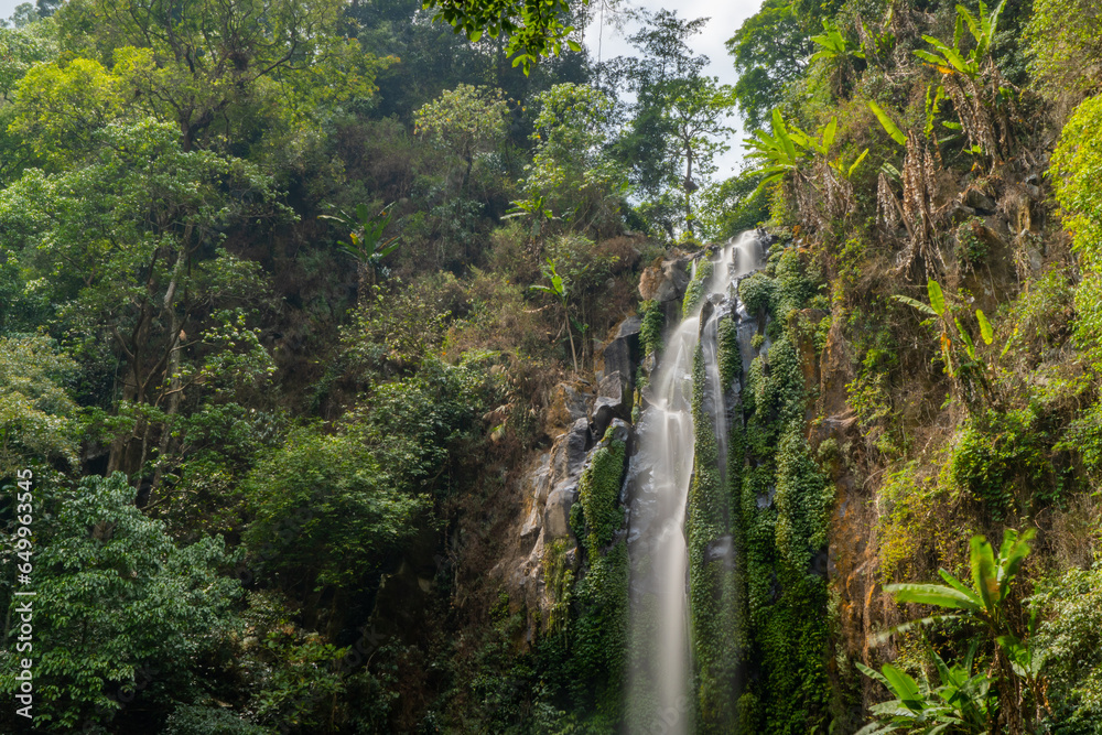Tropical water fall on Semarang Central Java with green leaf and mossy ...
