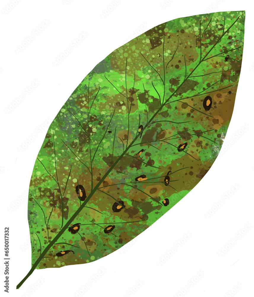 Detailed botanical illustration depicting green leaves afflicted by ...