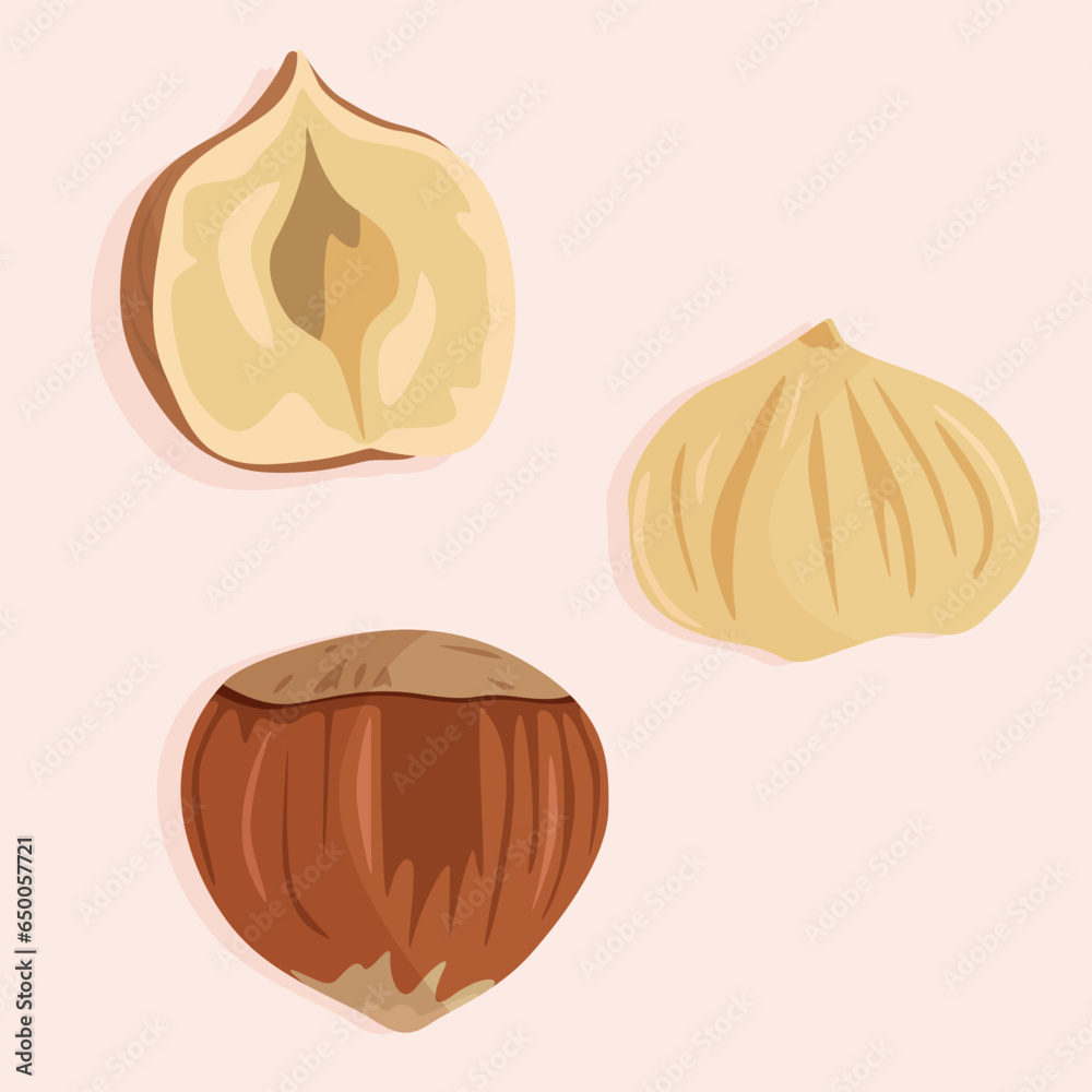 Hazelnuts, shelled and halved. Healthy and dietary food. Nuts icons in ...
