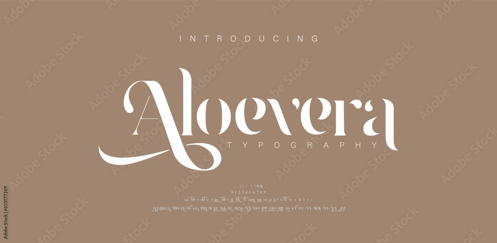 Elegant alphabet letters font and number. Classic Lettering Minimal ...