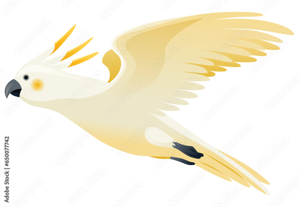 Parrot animation. Exotic adorable fauna character flight. White sulphur ...