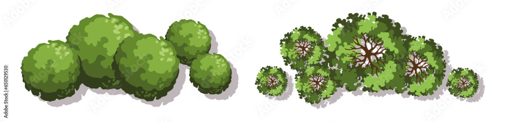 Tree for architectural floor plans. Entourage design. Various trees ...