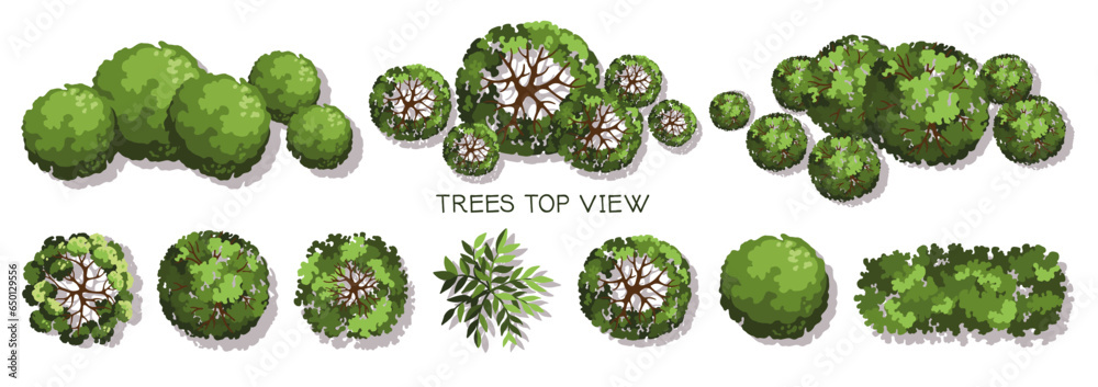 Group of trees for architectural floor plans. Entourage design. Various ...