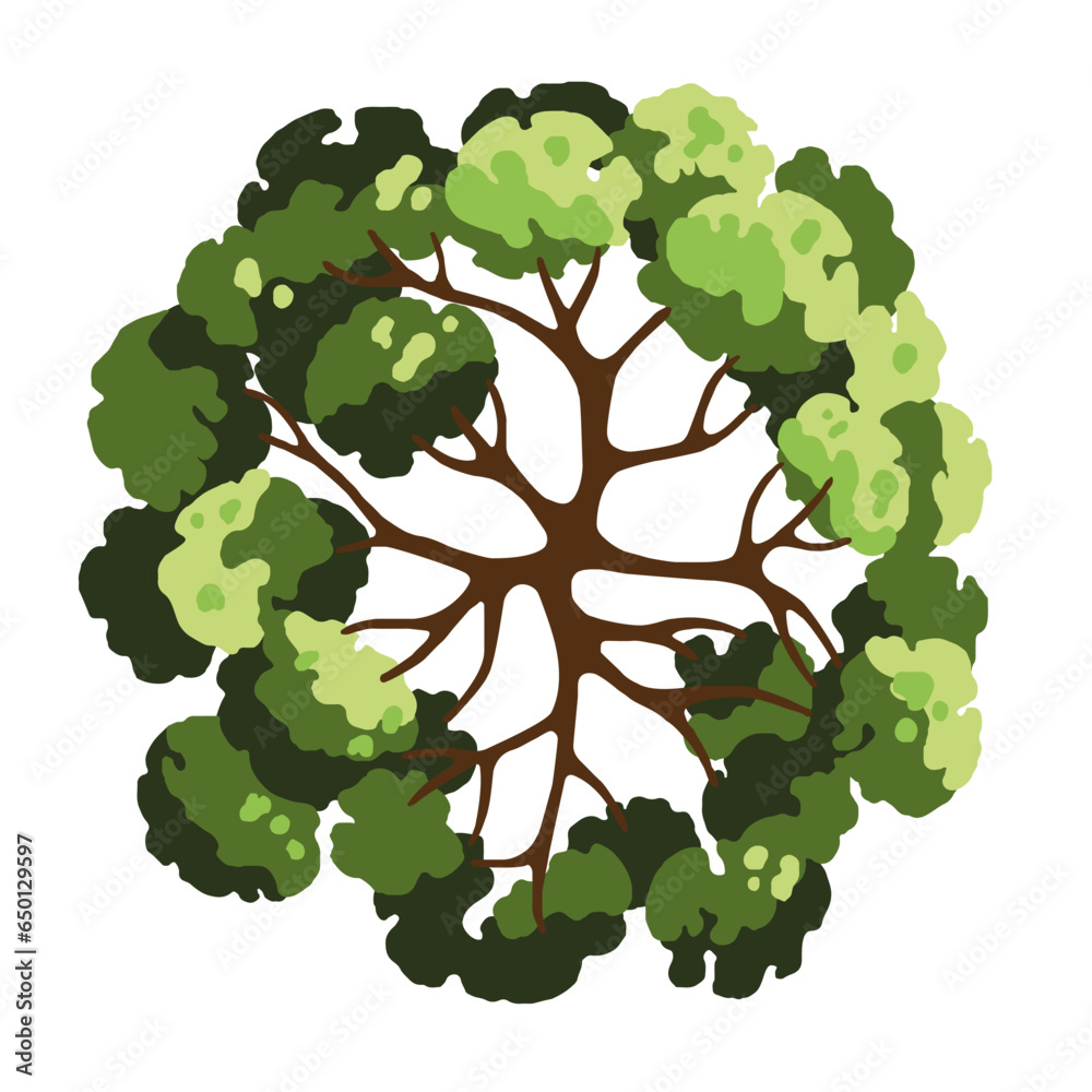 Tree for architectural floor plans. Entourage design. Top view for the ...