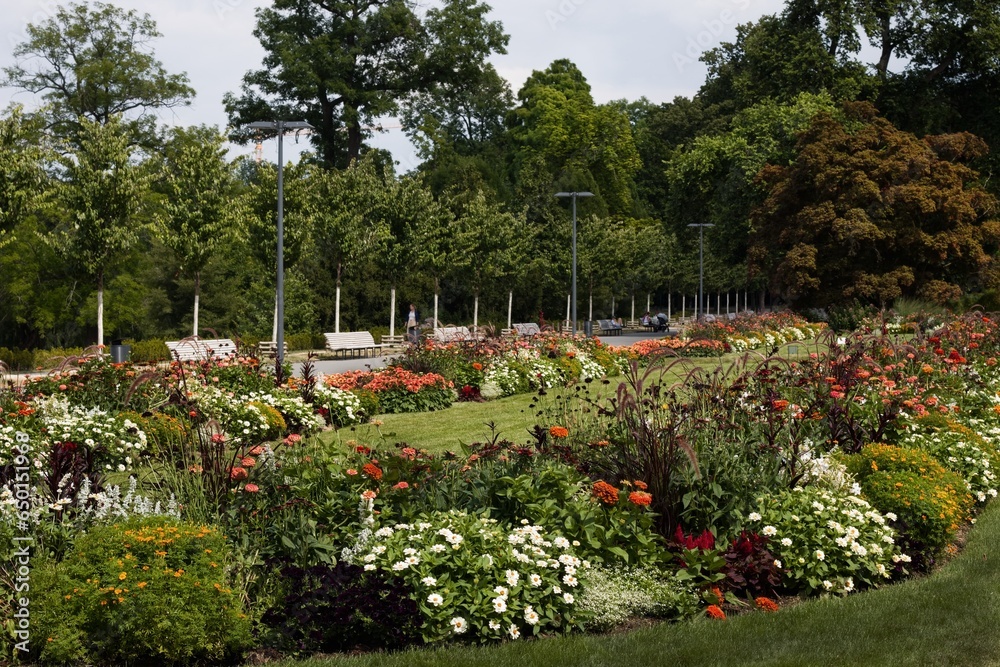 Prague, Central park Stromovka. One of the most important natural ...