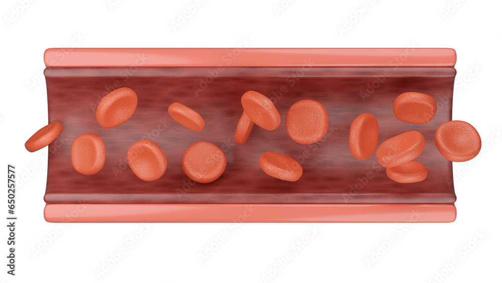 Normal Artery, healthy blood vessel, 3D render Stock Illustration ...