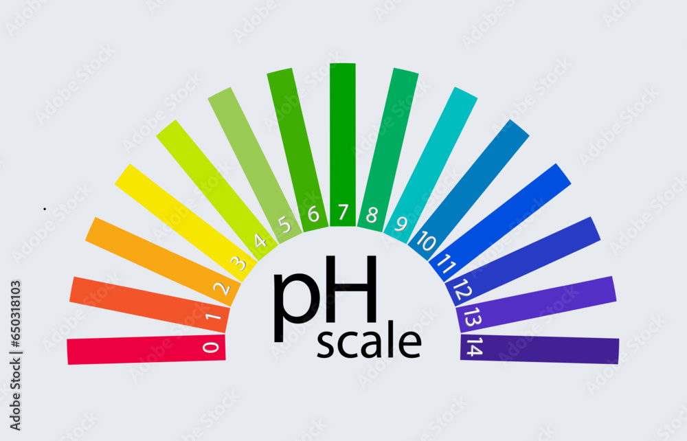 pH scale chart for acid and alkaline solutions. Acid-base balance ...