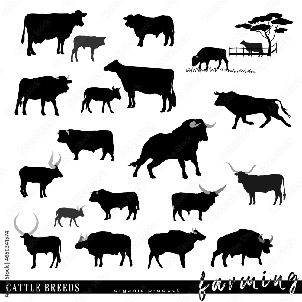Cattle breeds silhouettes. Vector illustration. Stock Vector | Adobe Stock