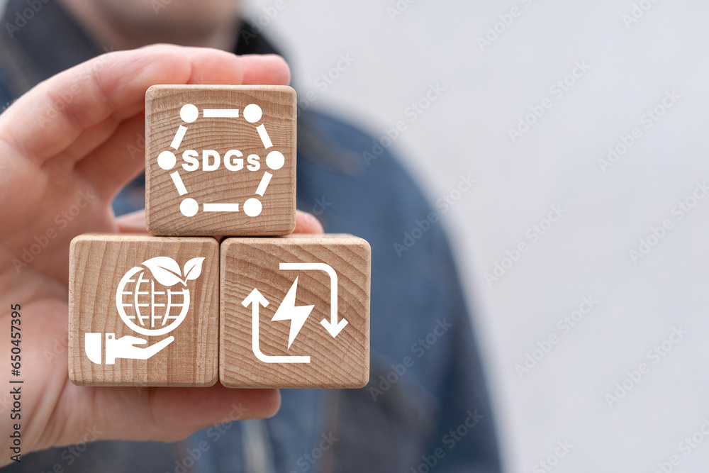 Man holding wooden cubes with icons and sees abbreviation: SDGs ...