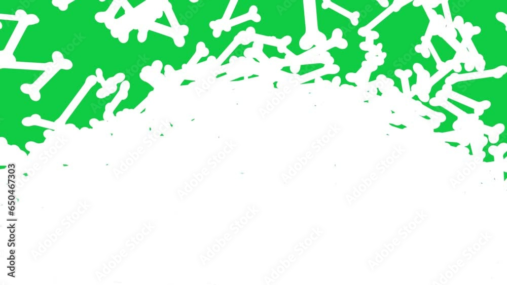 Dog bone Falling Stock Video | Adobe Stock