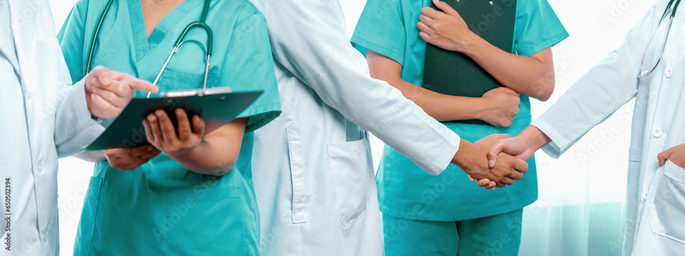 Group of medical staff doctor nurse and healthcare specialist ...