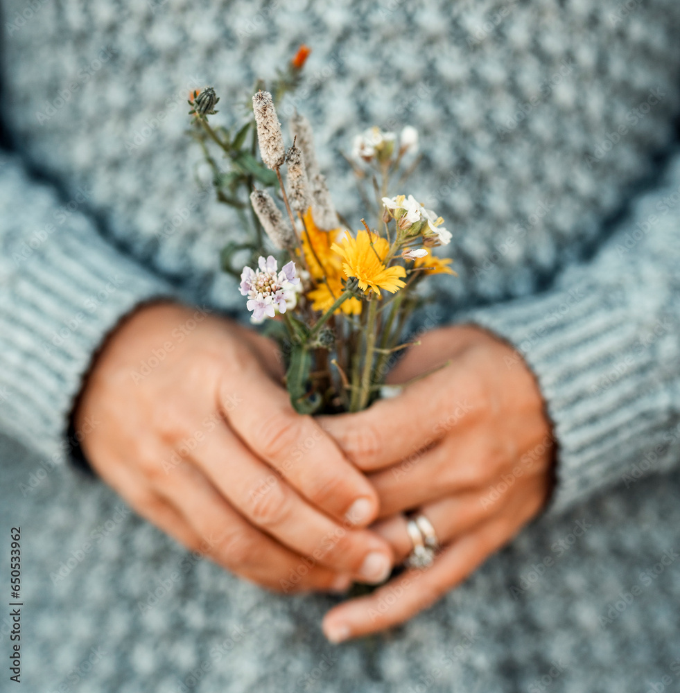 Romantic image of people and nature with woman hands holding natural ...