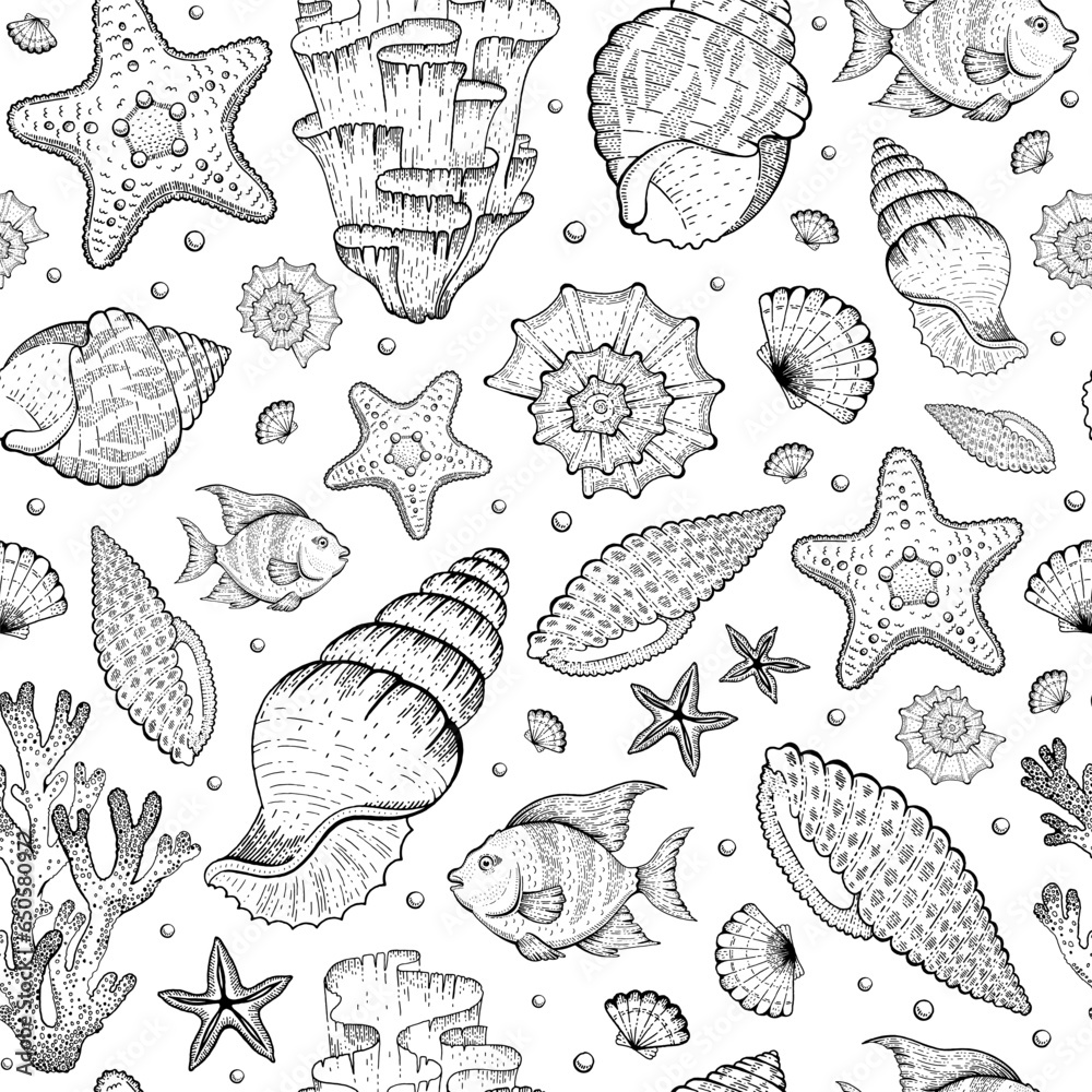 Shell pattern. Sea coral reef background. Ocean shell, fish, animal ...