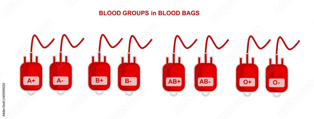 All blood Groups on Blood Bags. ABO Blood Grouping. Stock Illustration ...