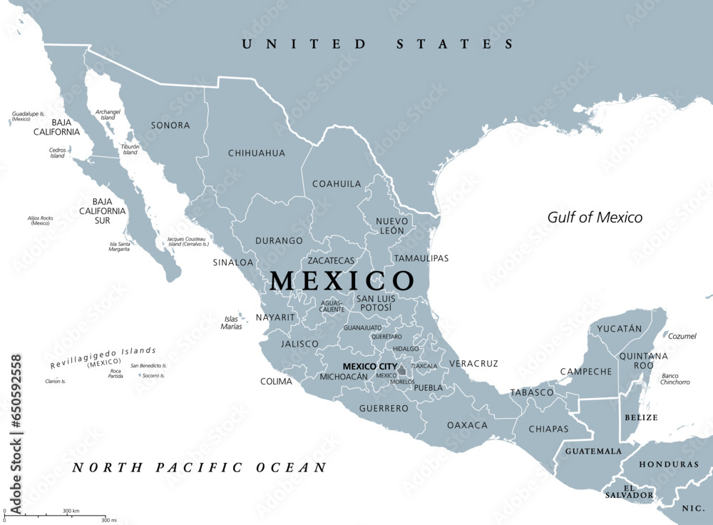 States of Mexico, gray political map. The United Mexican States, a ...