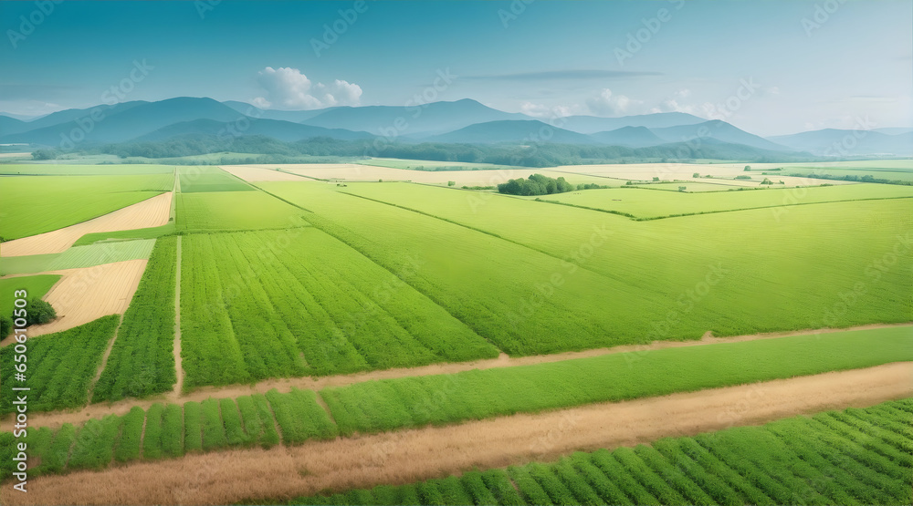 Sprawling Agricultural Farm with Fields of Crops, Tractors, and ...