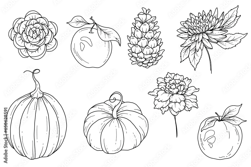 Fall floral arrangement outline. Fall Foliage Line Art Illustration ...