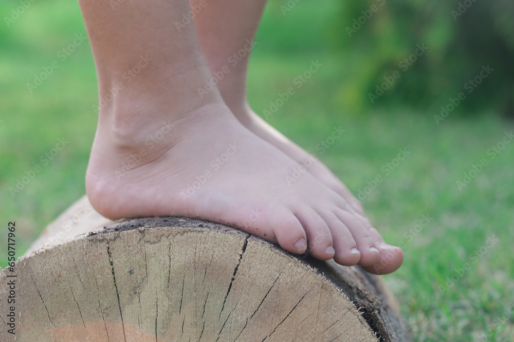 Child feet on wood log, barefoot little girl on tree trunk, countryside ...