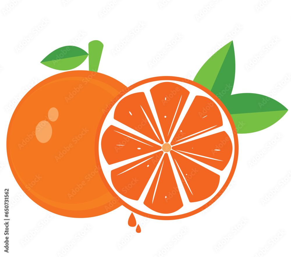orange fruit illustration,fruit drawing,vector orange,For Cricut,Print ...