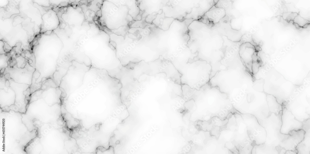 White and Black Marble luxury realistic texture for banner, invitation ...