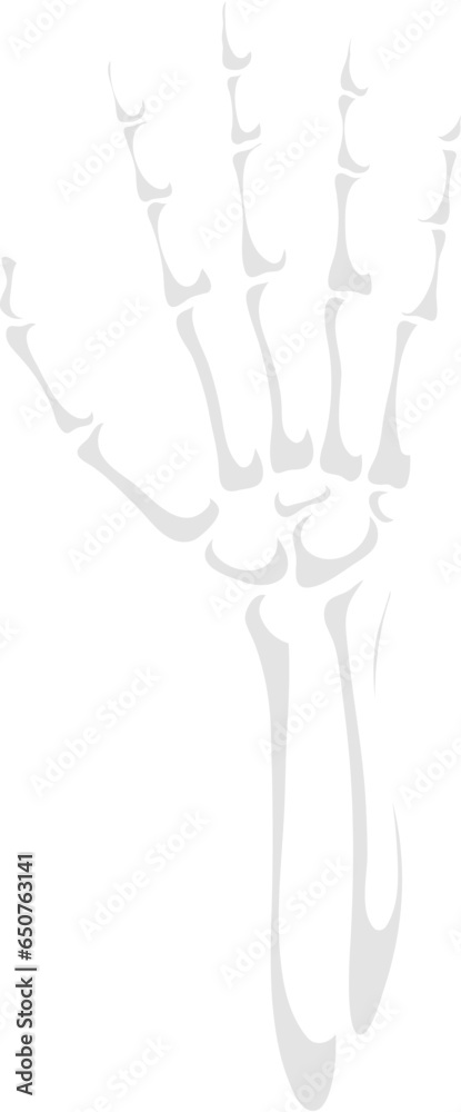 Skeleton hand gesture, isolated vector open bony palm. Skeletal arm ...