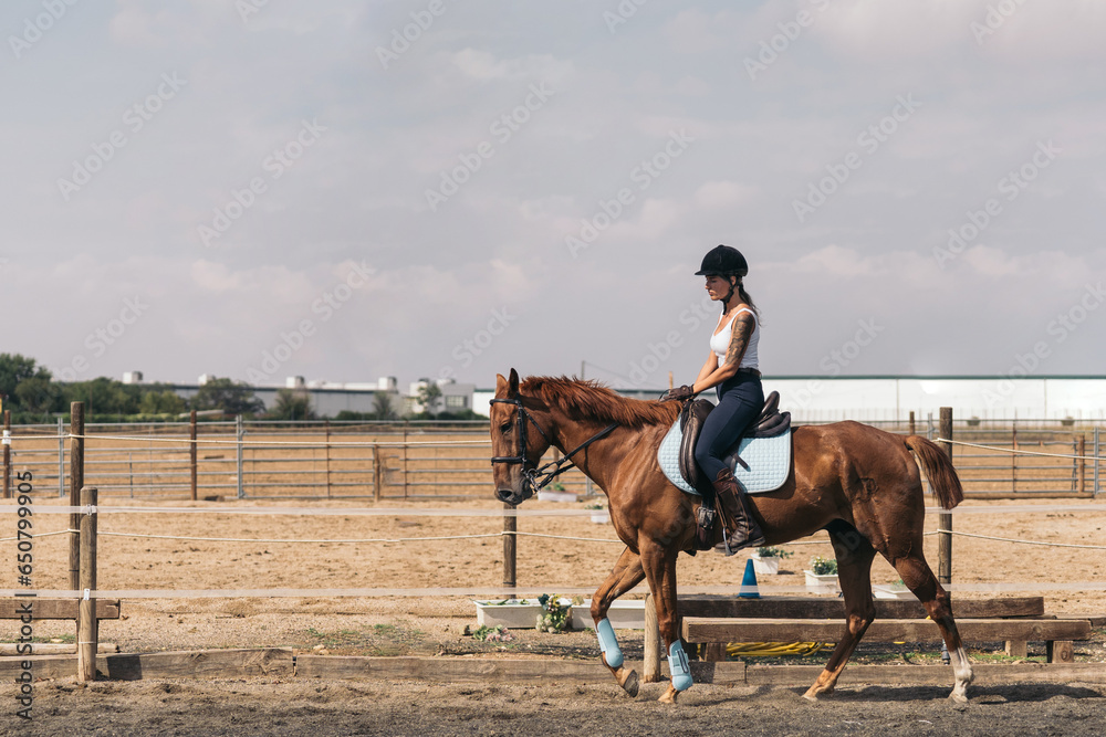 Young jockey girl riding her horse in the training arena of the riding ...