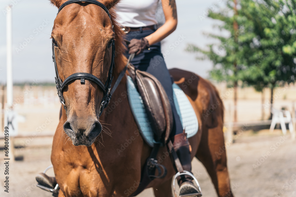 Young jockey girl on her horse in the arena of the riding school ...