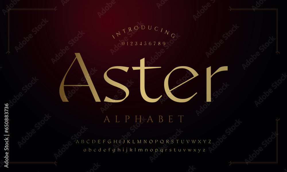 Aster , the luxury type elegant font and glamour alphabet vector set ...